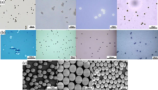 Detection and metrology of micro-nano particles through the integration ...