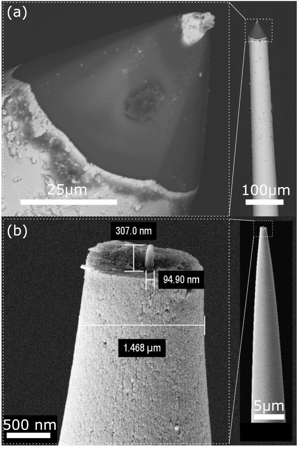 Coaxial tips for a scanning microwave microscope and its calibration ...