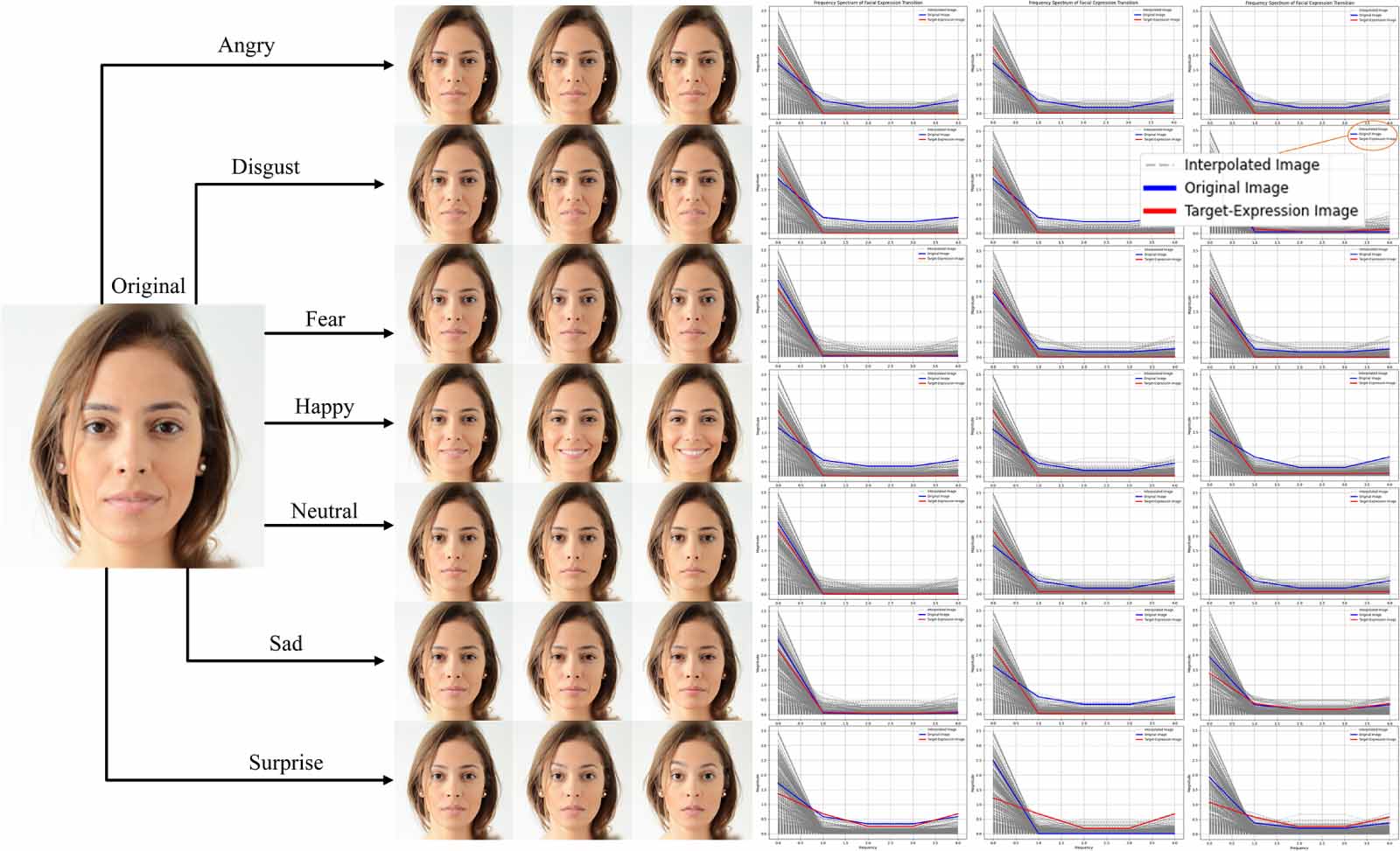 A highly naturalistic facial expression generation method with embedded ...