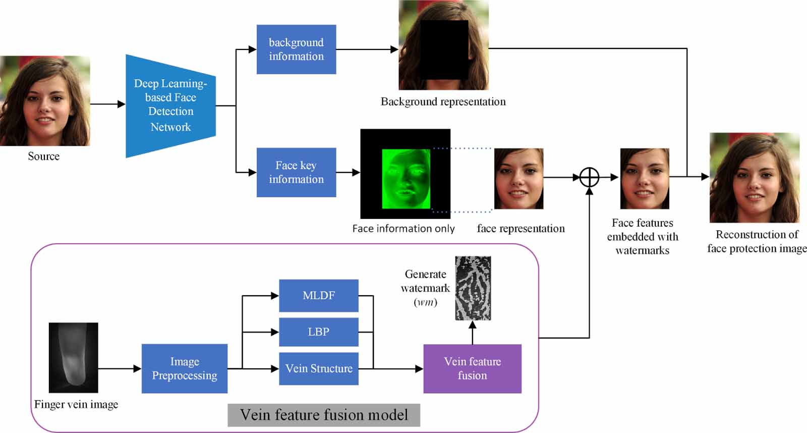 A highly naturalistic facial expression generation method with embedded vein features based on ...