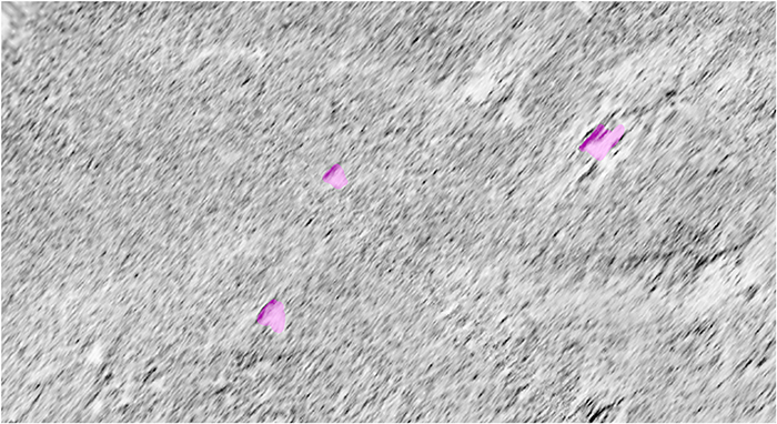 Computer vision methods for side scan sonar imagery - IOPscience