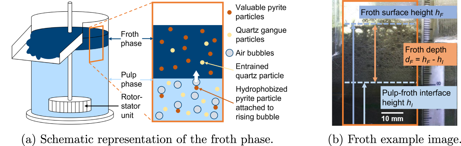 Optical measurement of froth height and depth in a batch flotation test ...