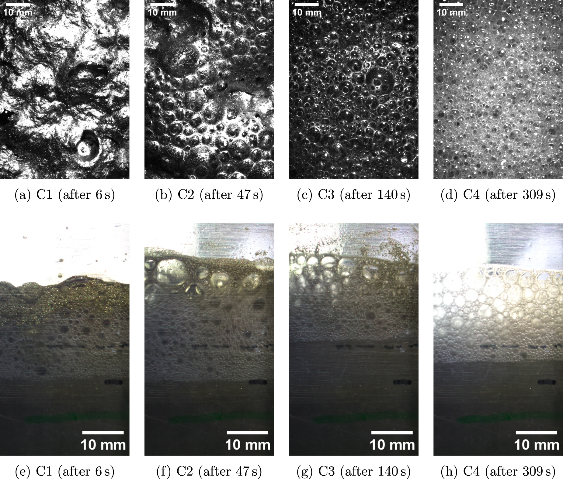 Optical measurement of froth height and depth in a batch flotation test ...