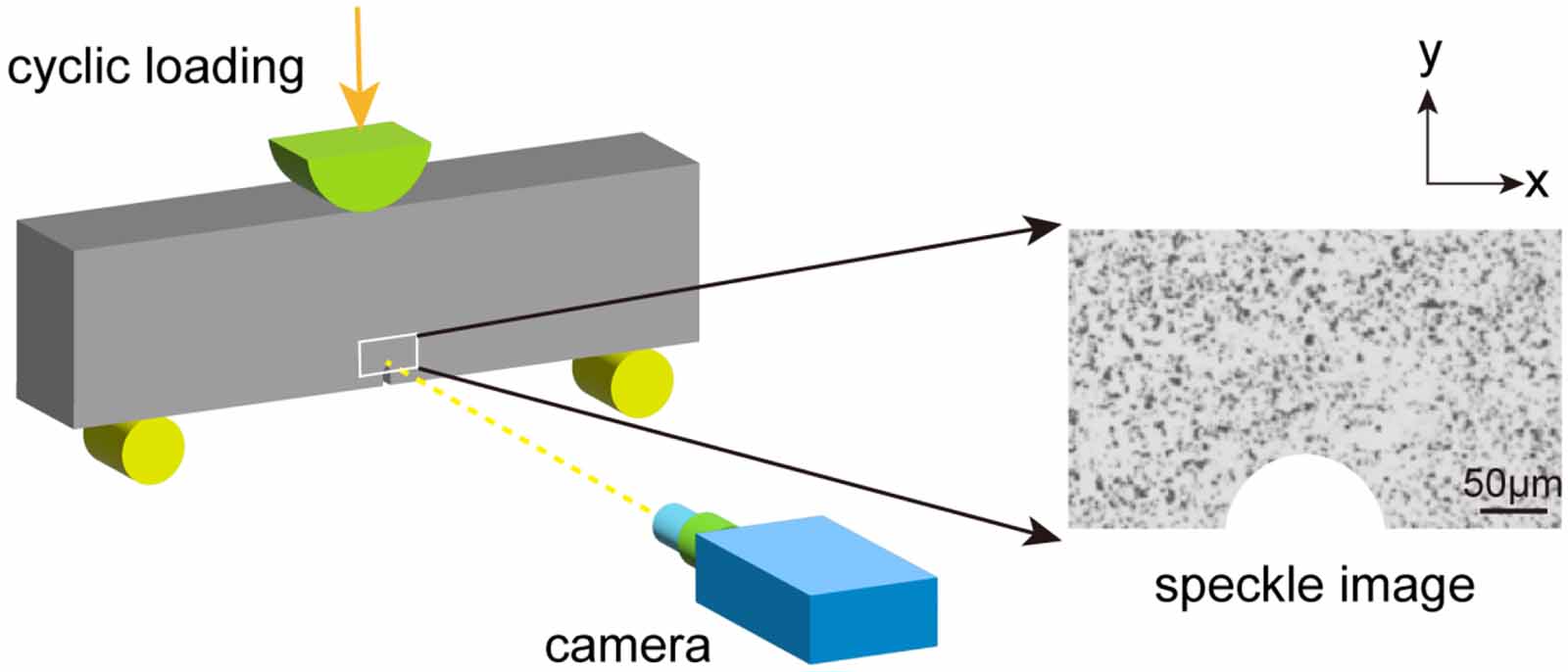 An integrated method for full-field stress measurement via coupled in ...