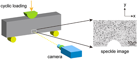 An integrated method for full-field stress measurement via coupled in ...