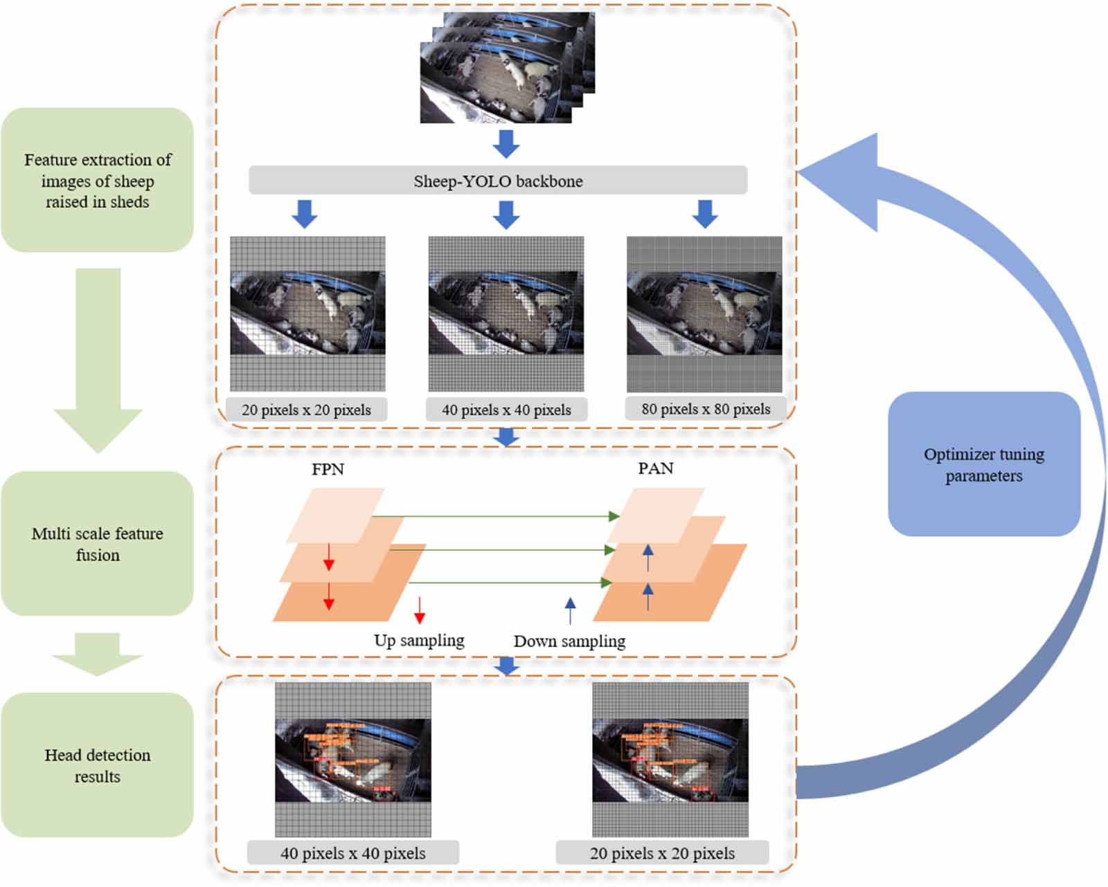 Sheep-YOLO: a lightweight daily behavior identification and counting ...