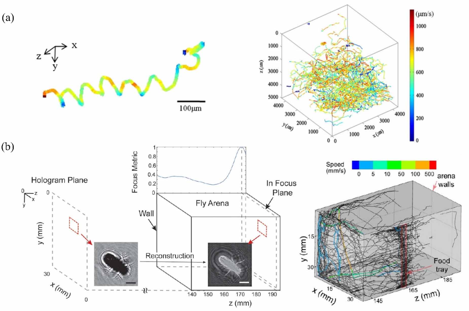 A review of 3D particle tracking and flow diagnostics using digital ...