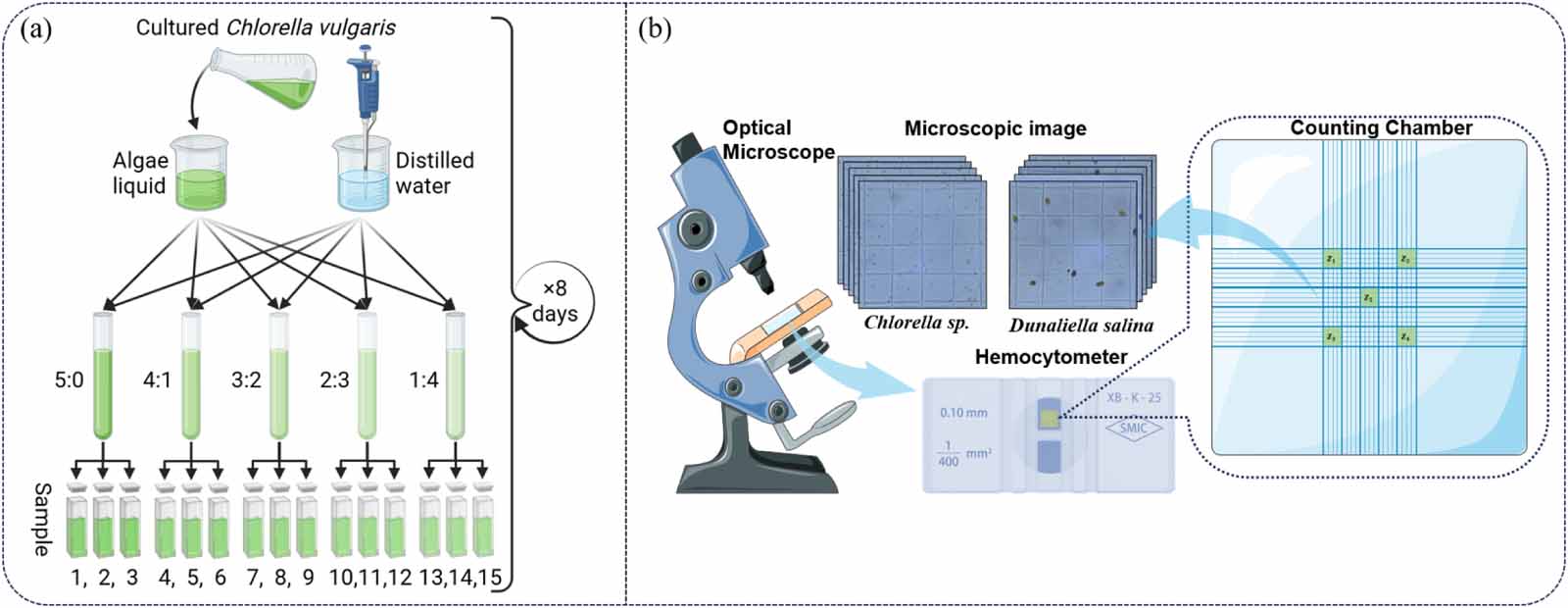 Quantification of microalgae concentration based on multi-channel ...