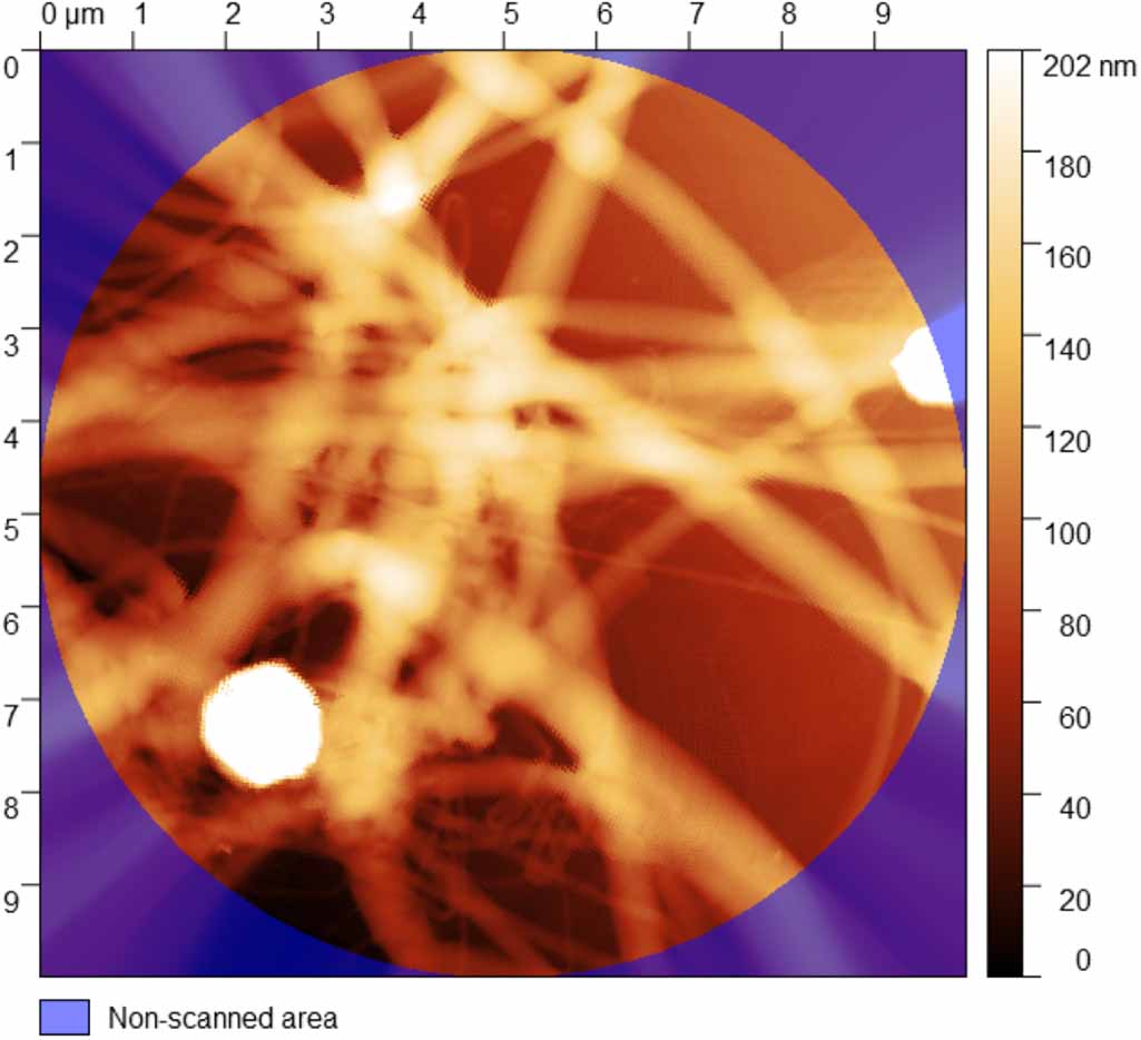 Large area high-speed atomic force microscopy with arbitrary scan path ...