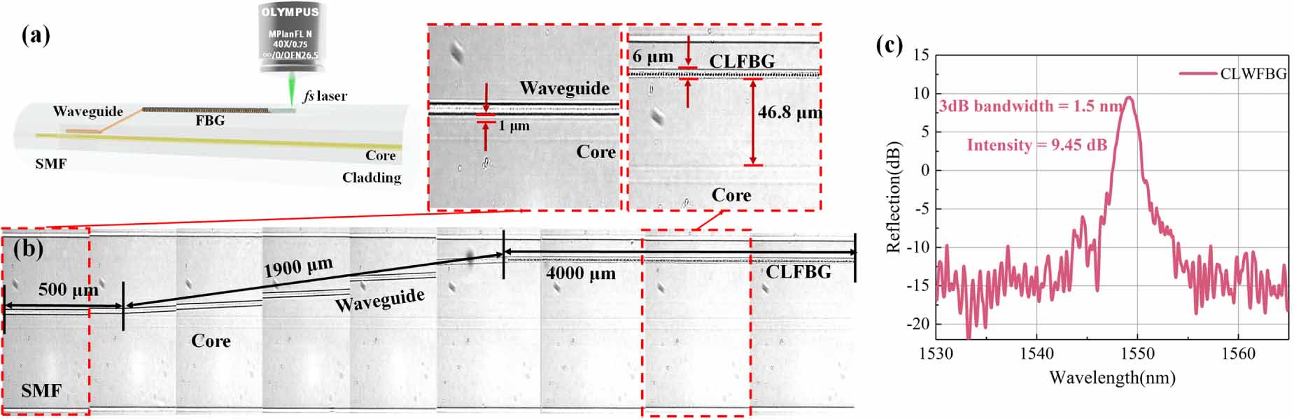 The fabrication of single mode fiber cladding waveguides FBG using ...