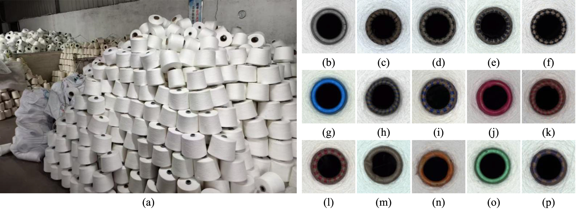 Research on a lightweight cone yarn varieties recognition model ...