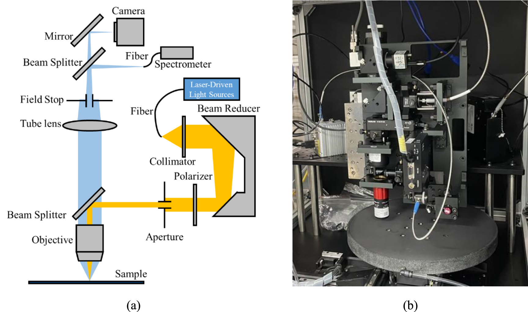 Optimized polarization in DUV scatterometry with global sensitivity ...
