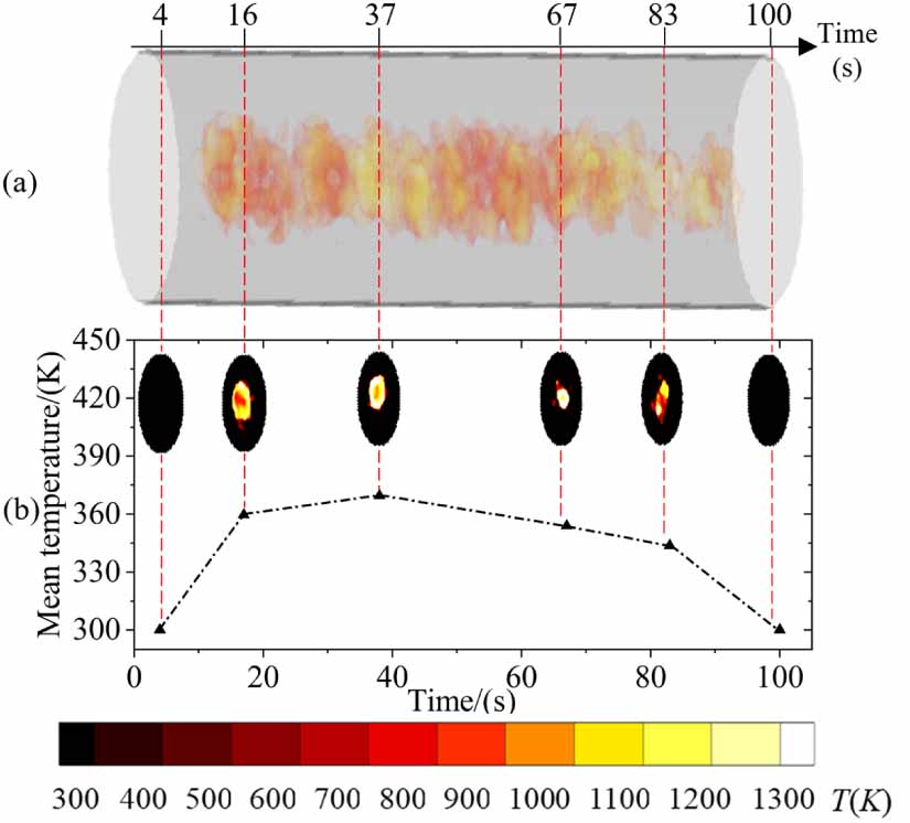 A single-path LAS fused electrical capacitance tomography for flame ...