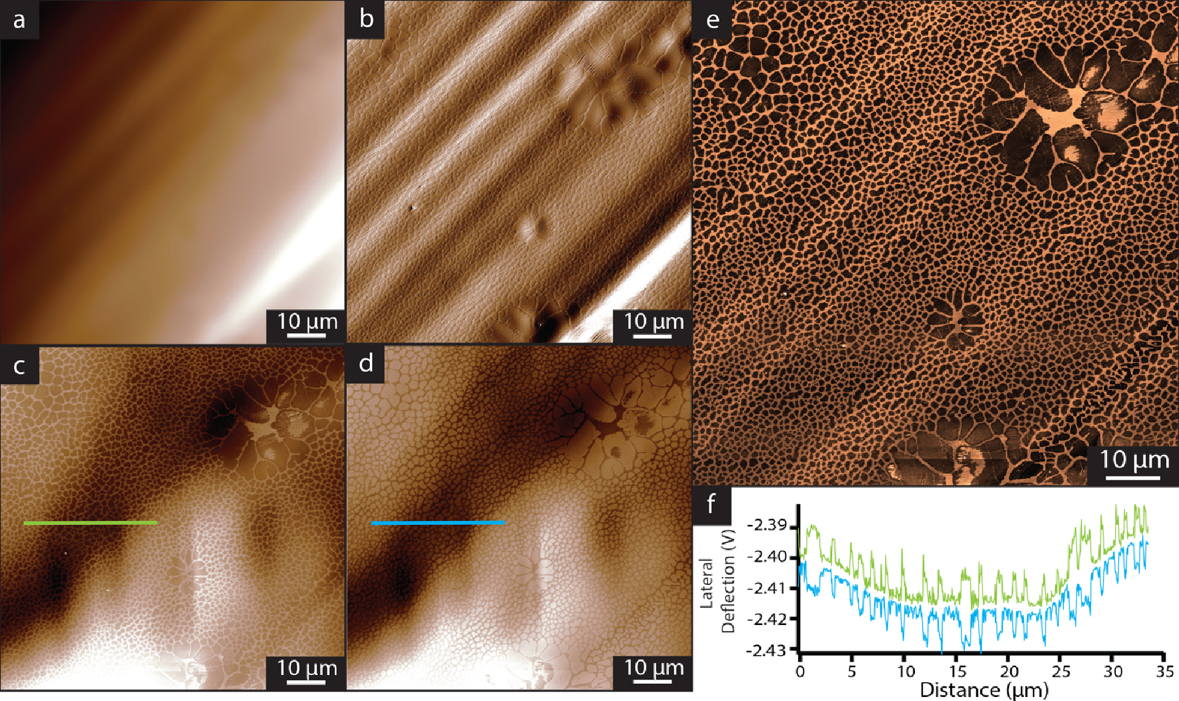 Friction force microscopy: a simple technique for identifying graphene ...