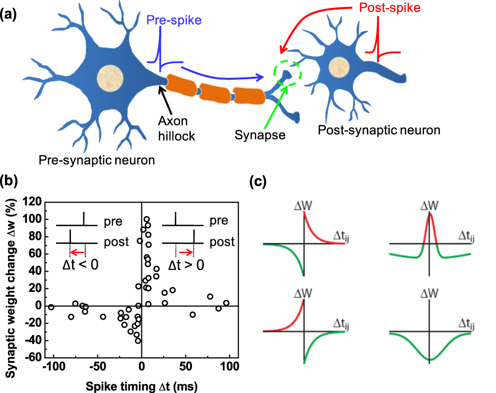 Synaptic electronics: materials, devices and applications - IOPscience