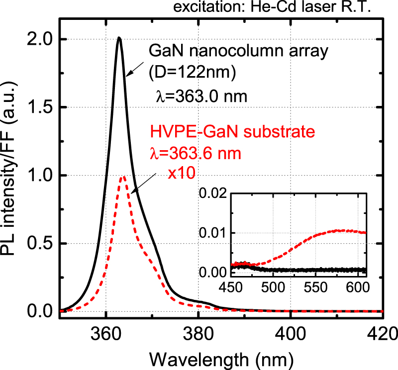 Selective-area growth of GaN nanocolumns on Si(111) substrates for ...
