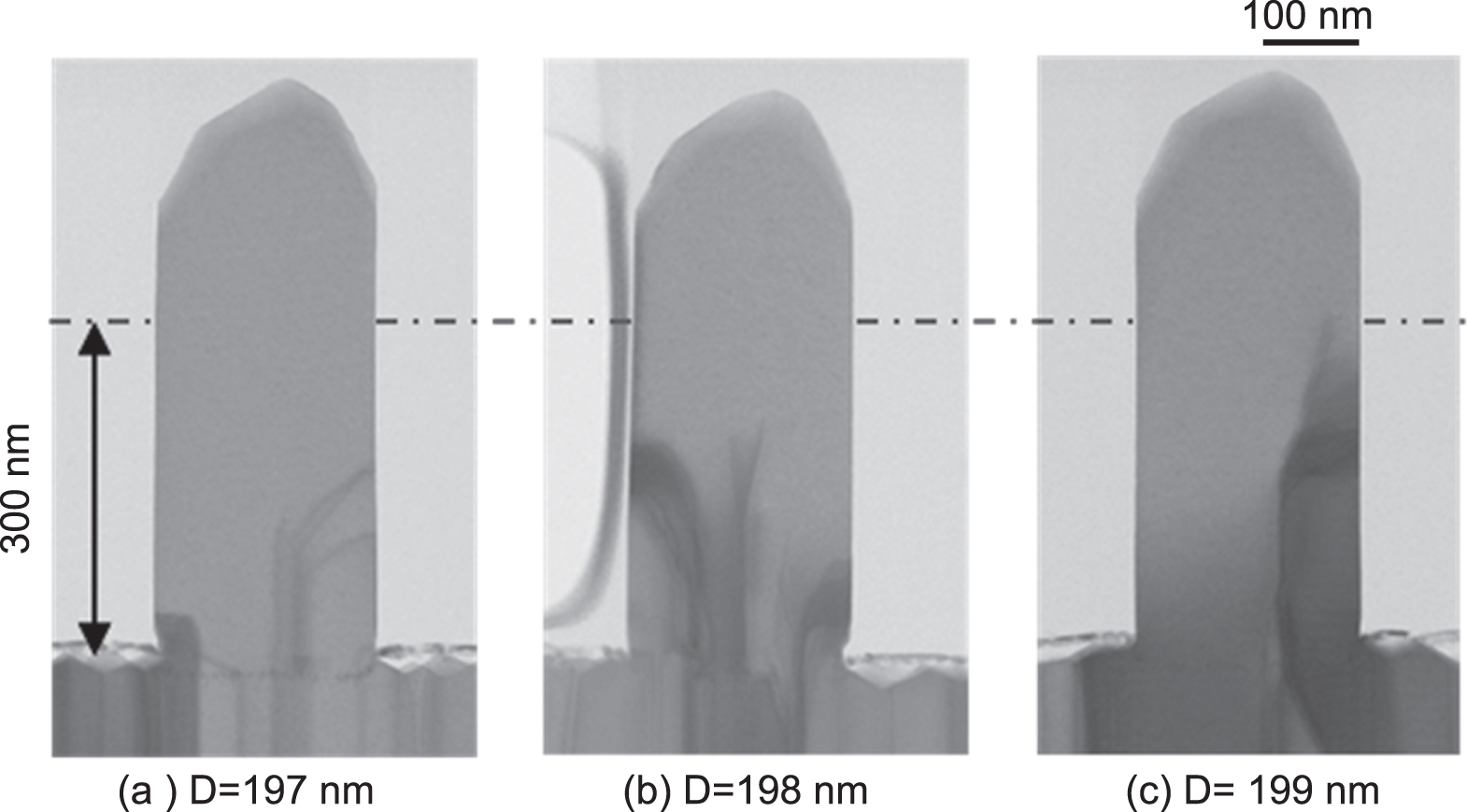 Selective-area growth of GaN nanocolumns on Si(111) substrates for ...