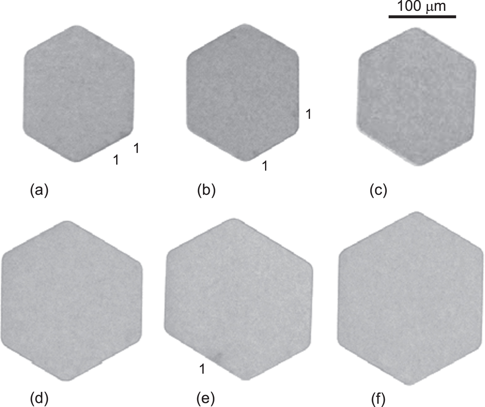 Selective-area growth of GaN nanocolumns on Si(111) substrates for ...