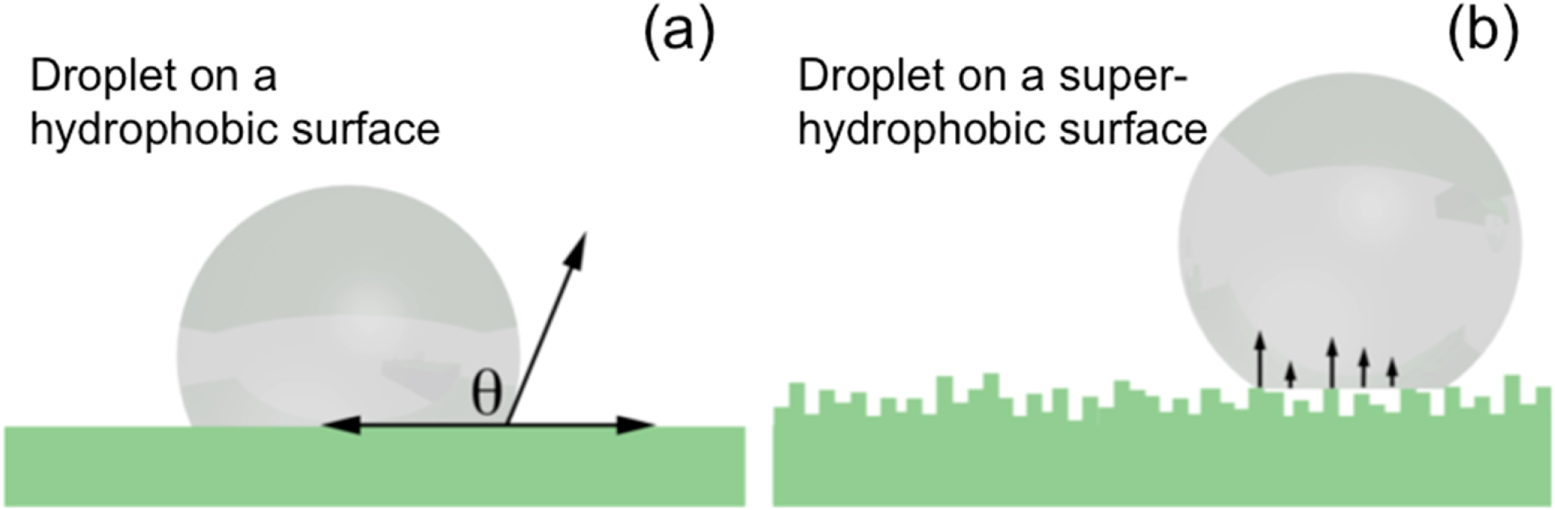 Optically transparent and environmentally durable superhydrophobic ...