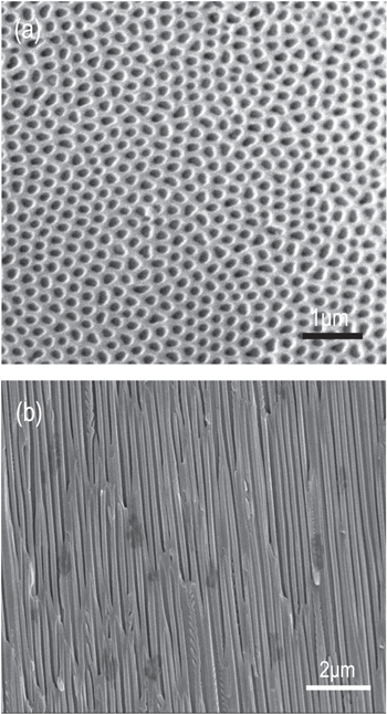 Oriented Mn-doped CuO nanowire arrays - IOPscience