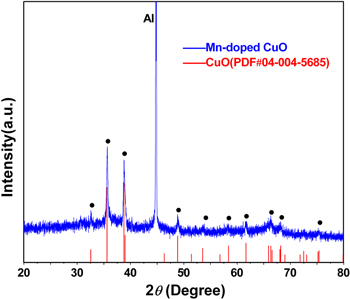 Oriented Mn-doped CuO nanowire arrays - IOPscience