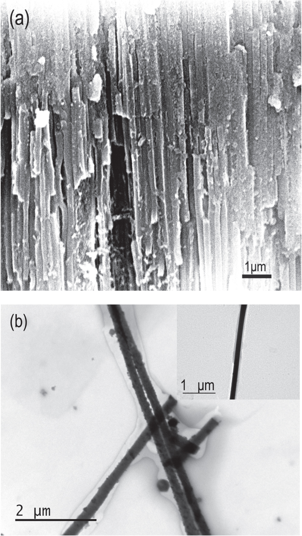 Oriented Mn-doped CuO nanowire arrays - IOPscience