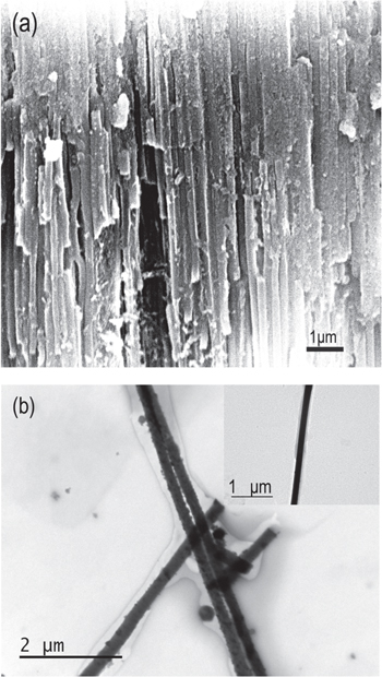 Oriented Mn-doped CuO nanowire arrays - IOPscience