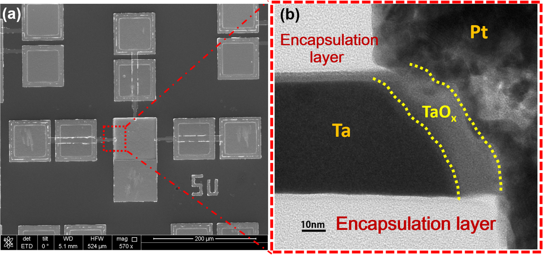 Encapsulation layer design and scalability in encapsulated vertical 3D ...