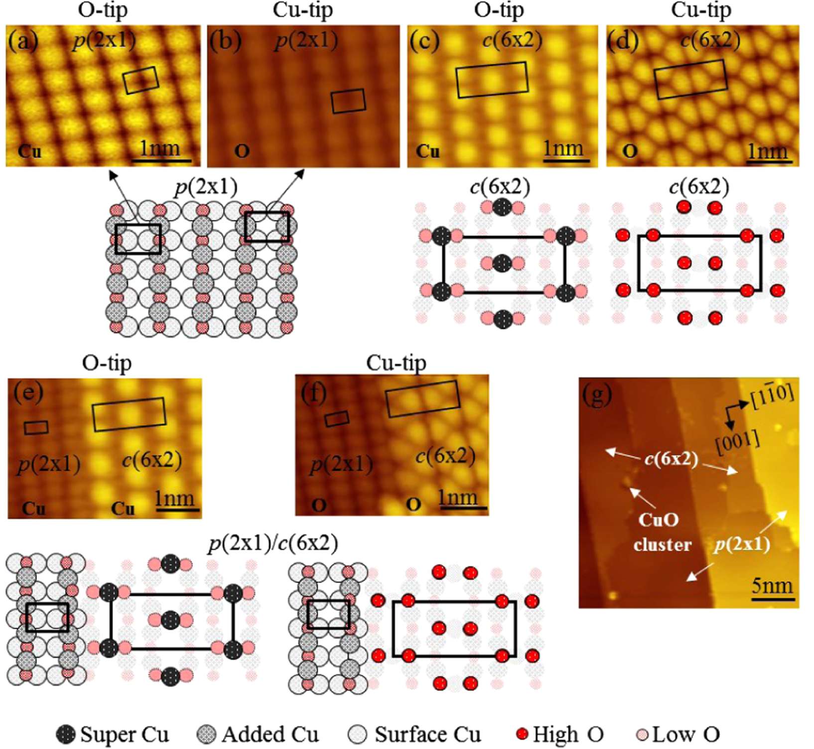 Growth models of coexisting p(2 × 1) and c(6 × 2) phases on an oxygen ...