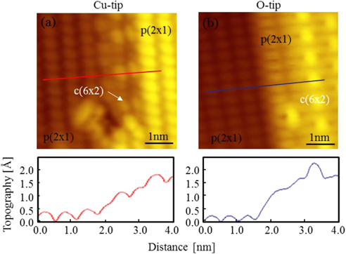 Growth models of coexisting p(2 × 1) and c(6 × 2) phases on an oxygen ...