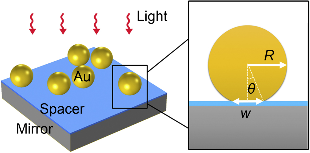 Nanoparticle-on-mirror cavity modes for huge and/or tunable plasmonic ...