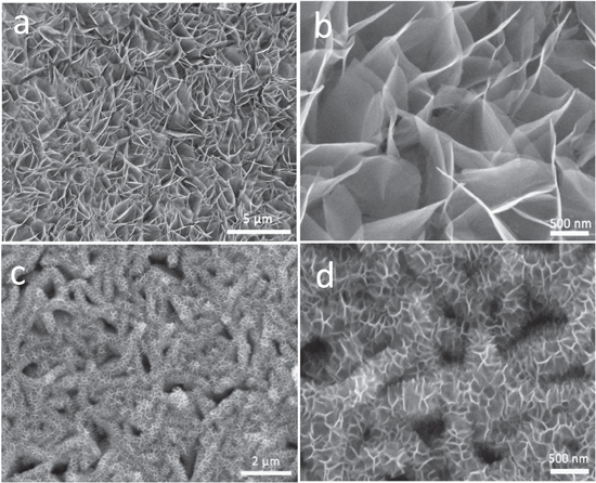 Controlled synthesis of MnO2 nanosheets vertically covered FeCo2O4 ...