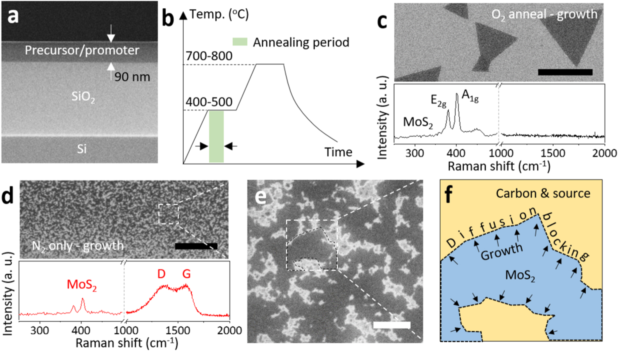 Role of alkali metal promoter in enhancing lateral growth of monolayer ...