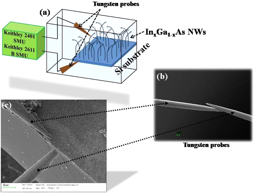 Single InxGa1−xAs nanowire/p-Si heterojunction based nano-rectifier ...