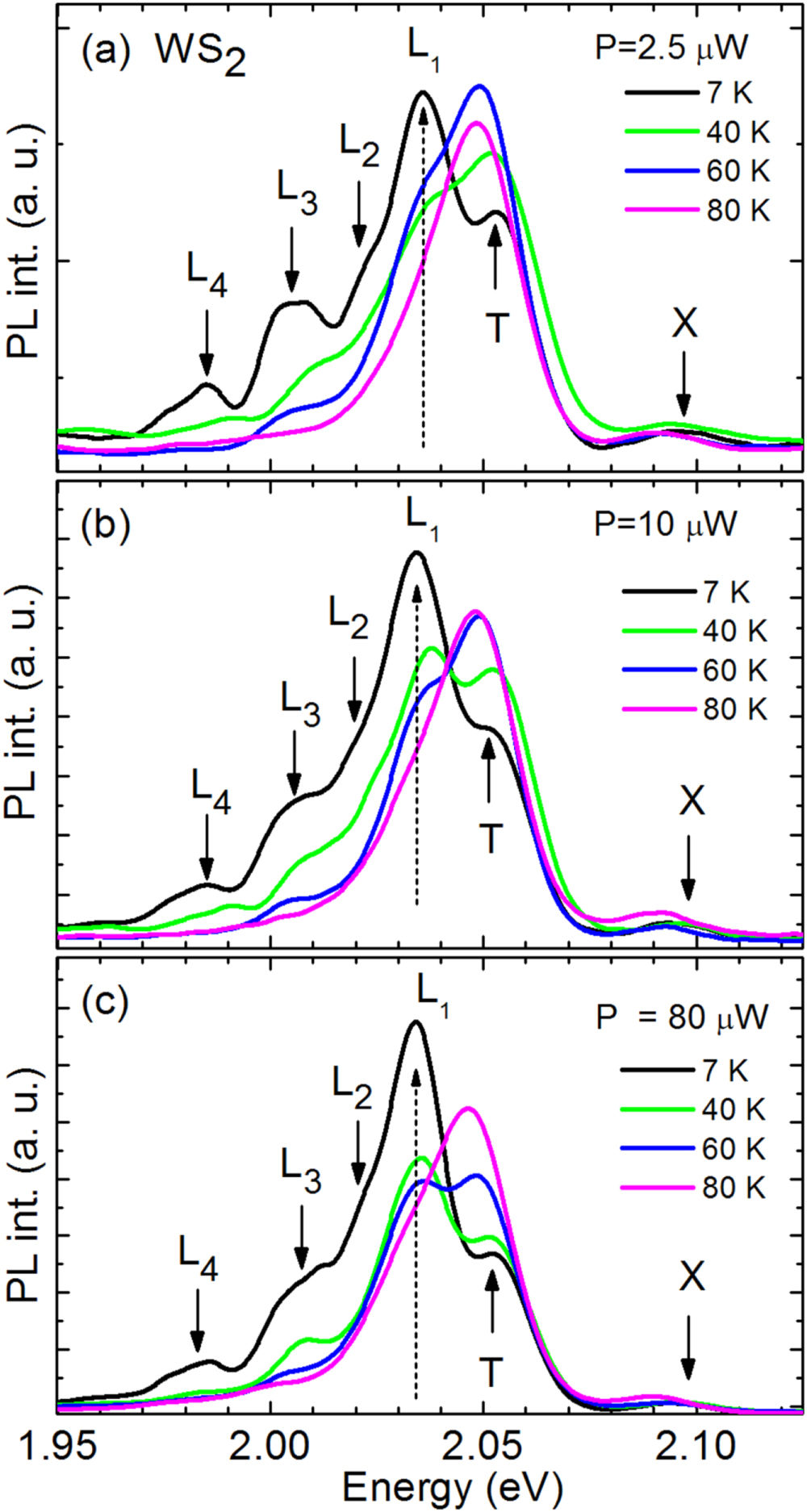 Probing of free and localized excitons and trions in atomically thin ...
