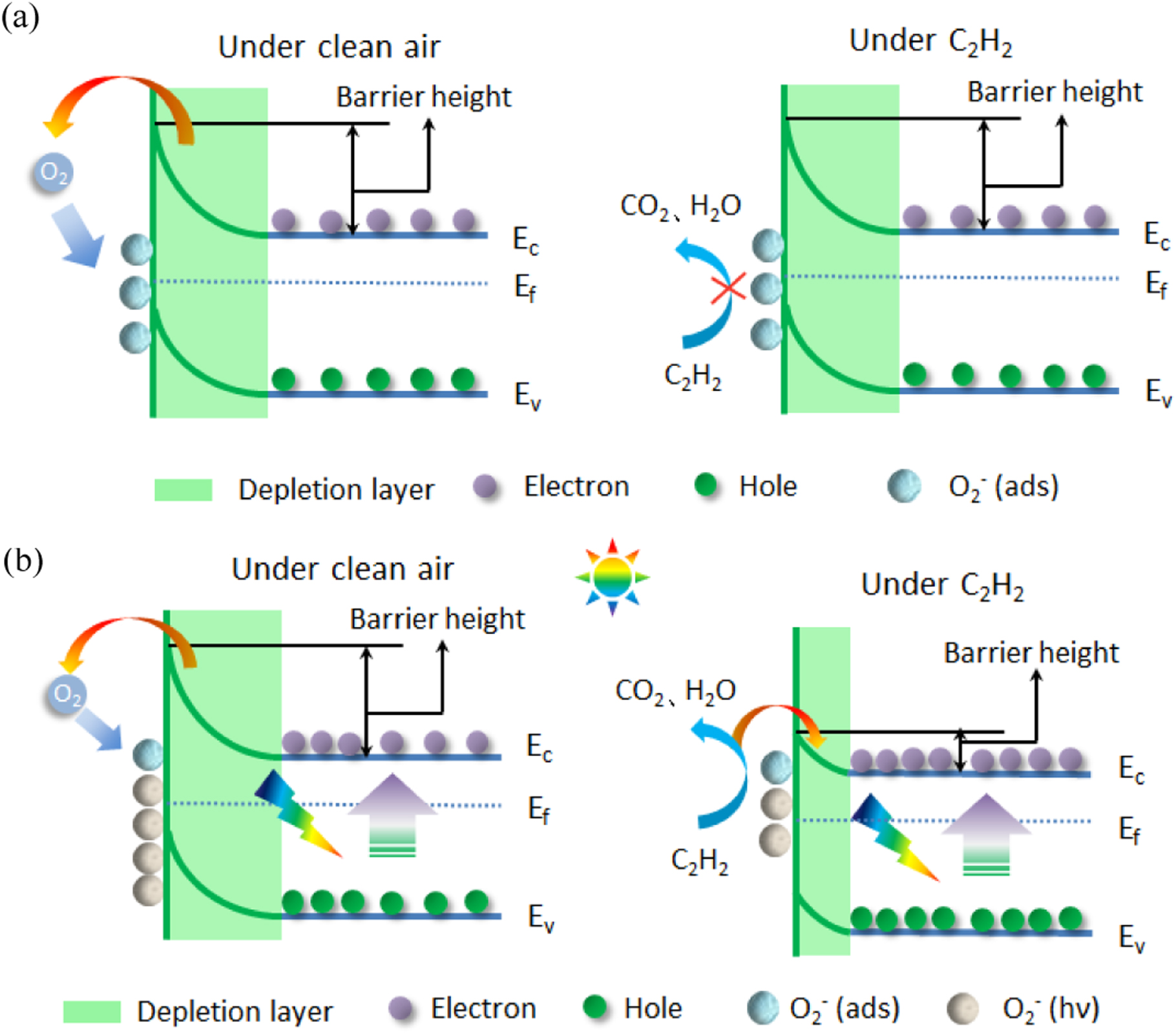 A flexible, transparent and high-performance gas sensor based on layer ...