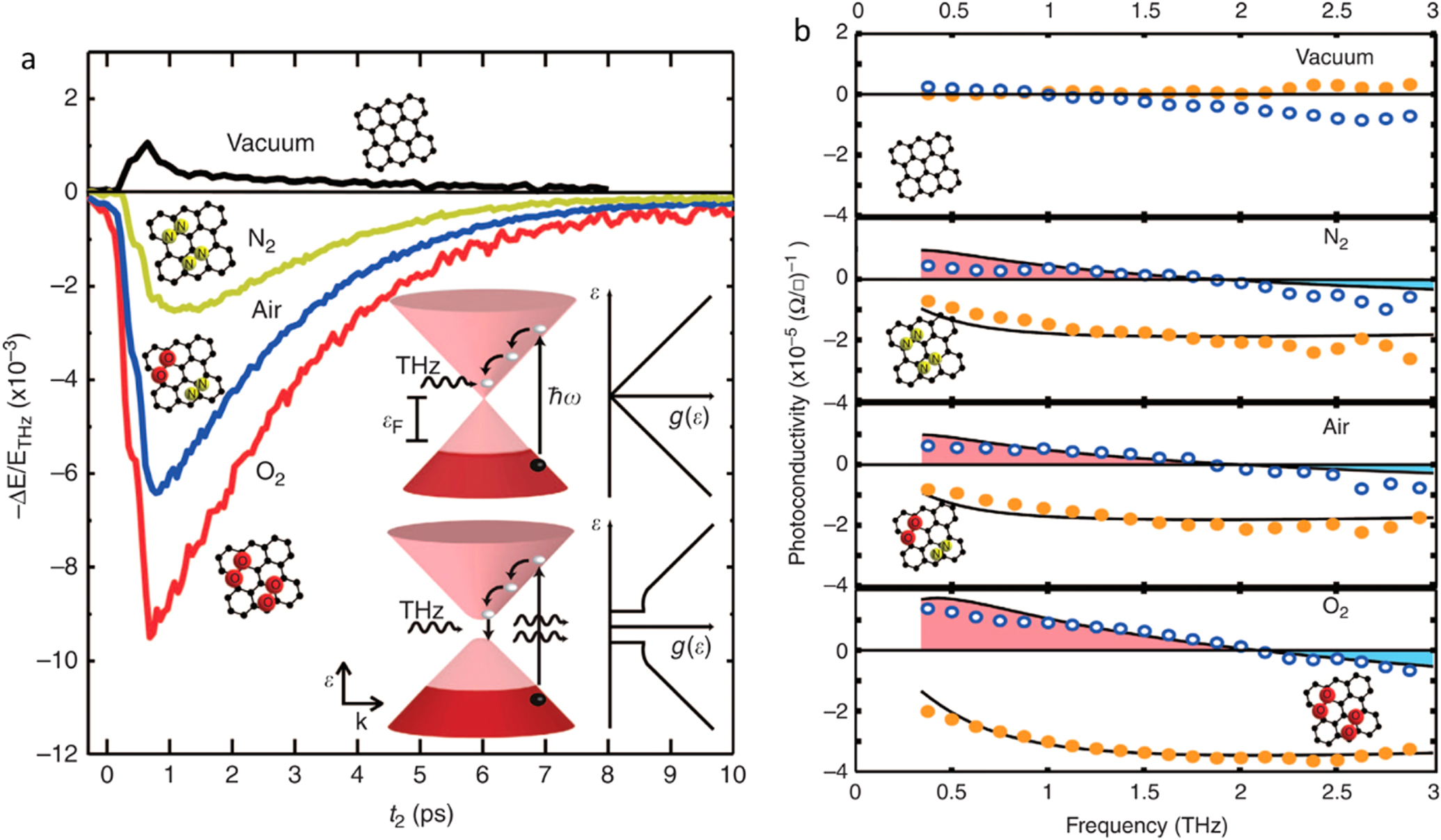 Negative terahertz photoconductivity in 2D layered materials - IOPscience
