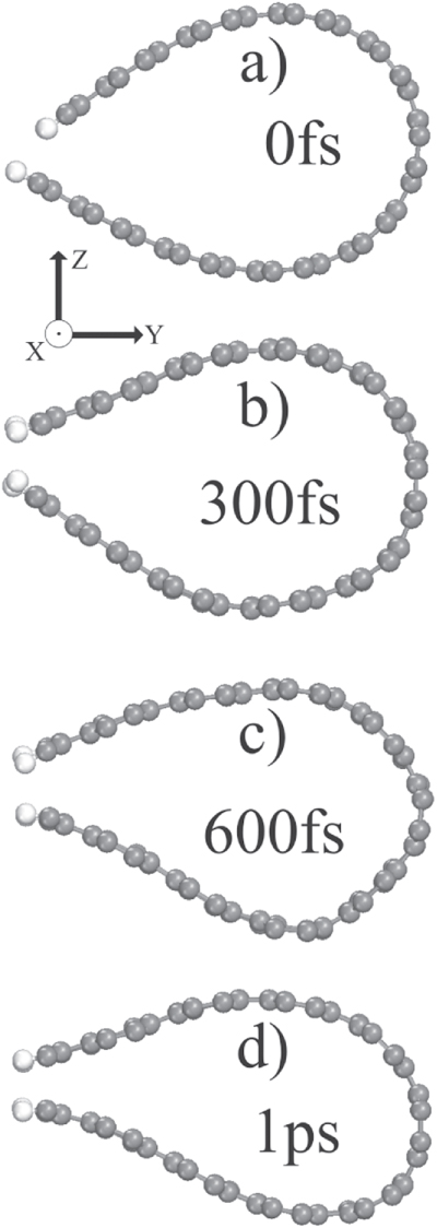 BNC nanoshells: a novel structure for atomic storage - IOPscience