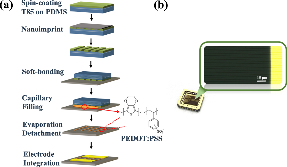 Conductive polymer nanowire gas sensor fabricated by nanoscale soft ...