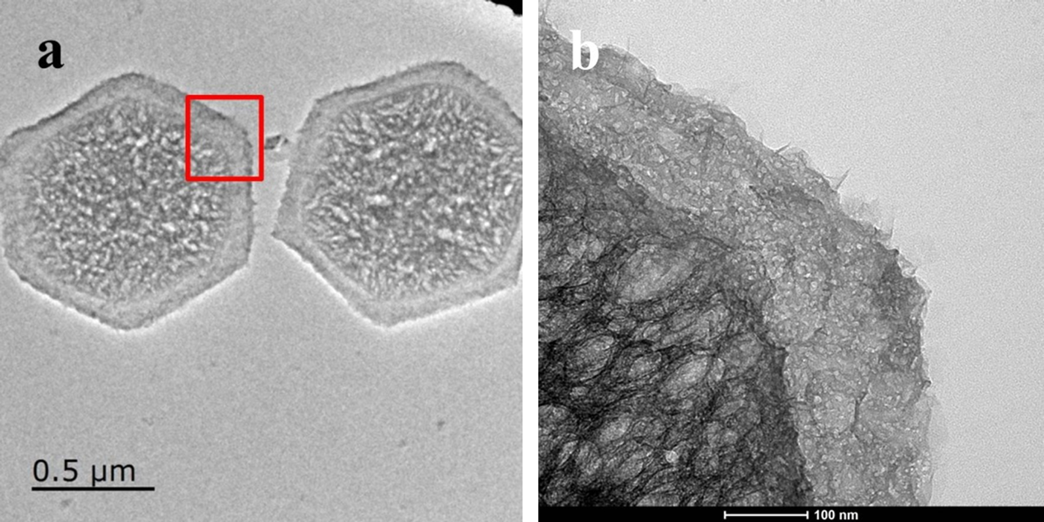 Anion exchange strategy to synthesis of porous NiS hexagonal nanoplates ...