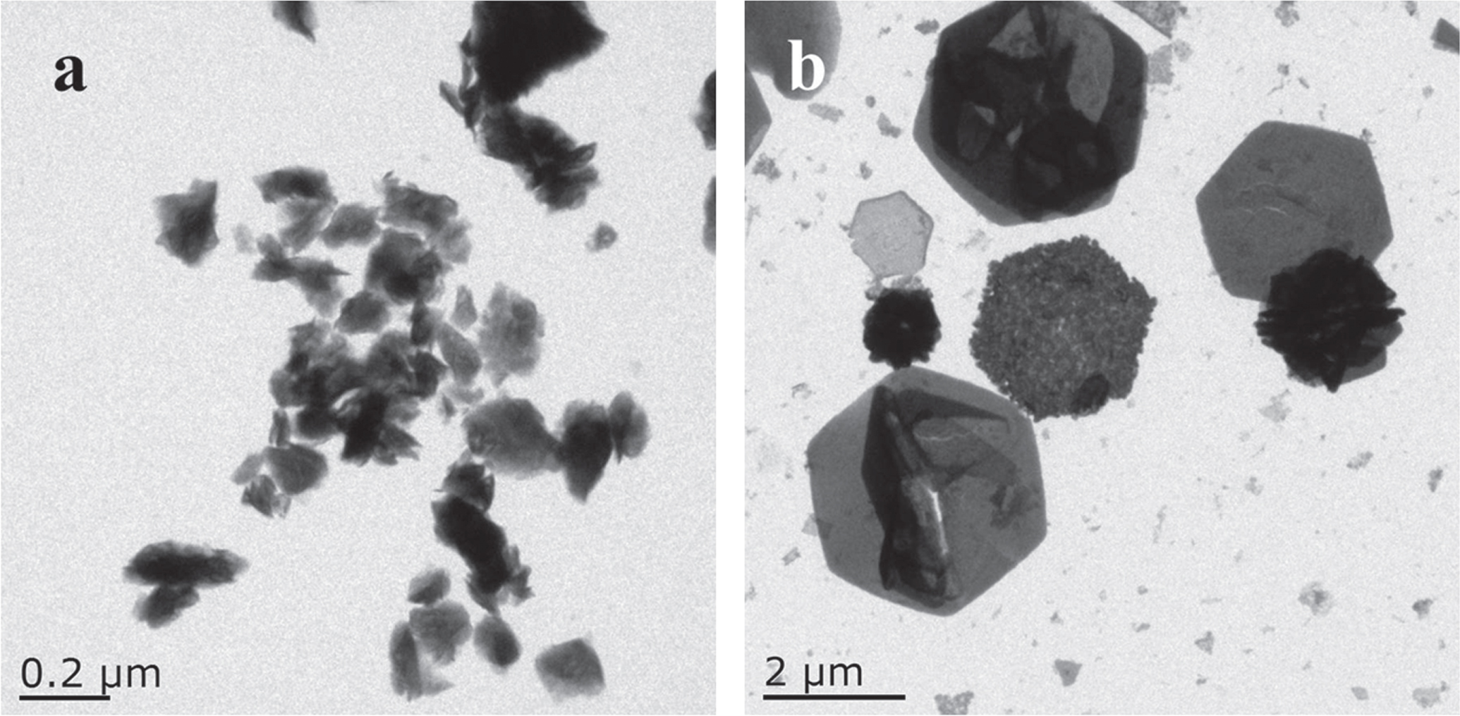 Anion exchange strategy to synthesis of porous NiS hexagonal nanoplates ...
