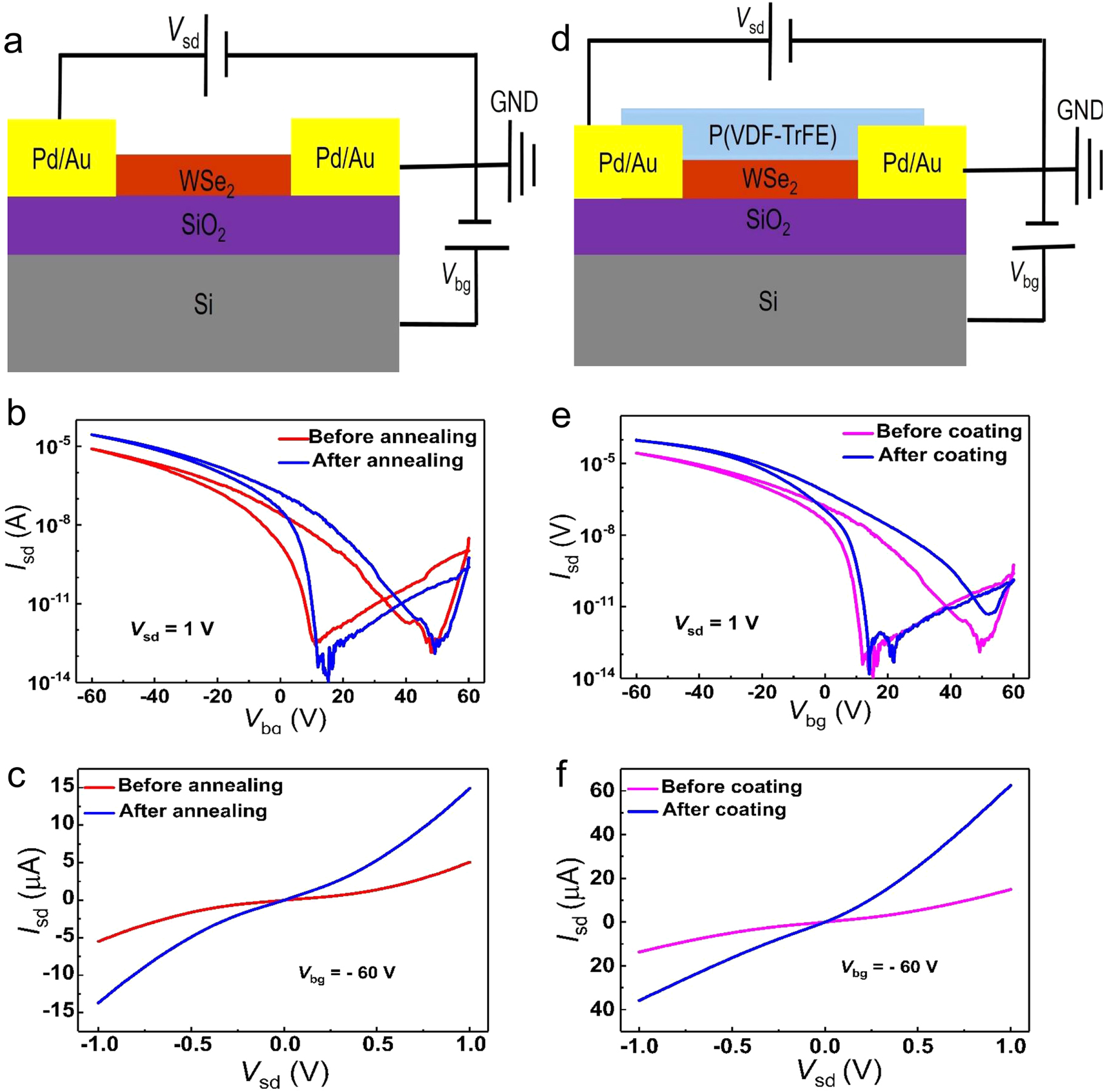 The ambipolar evolution of a high-performance WSe2 transistor assisted ...