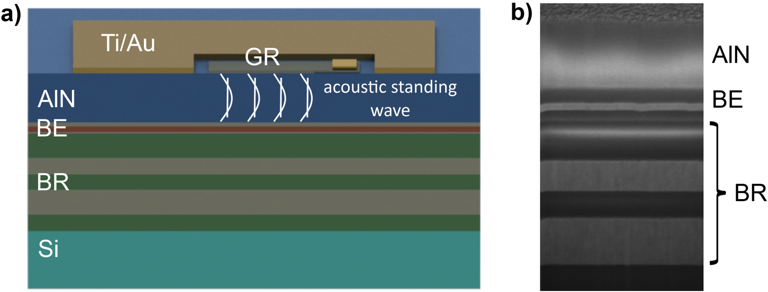 Graphene as an active virtually massless top electrode for RF solidly mounted bulk acoustic wave ...