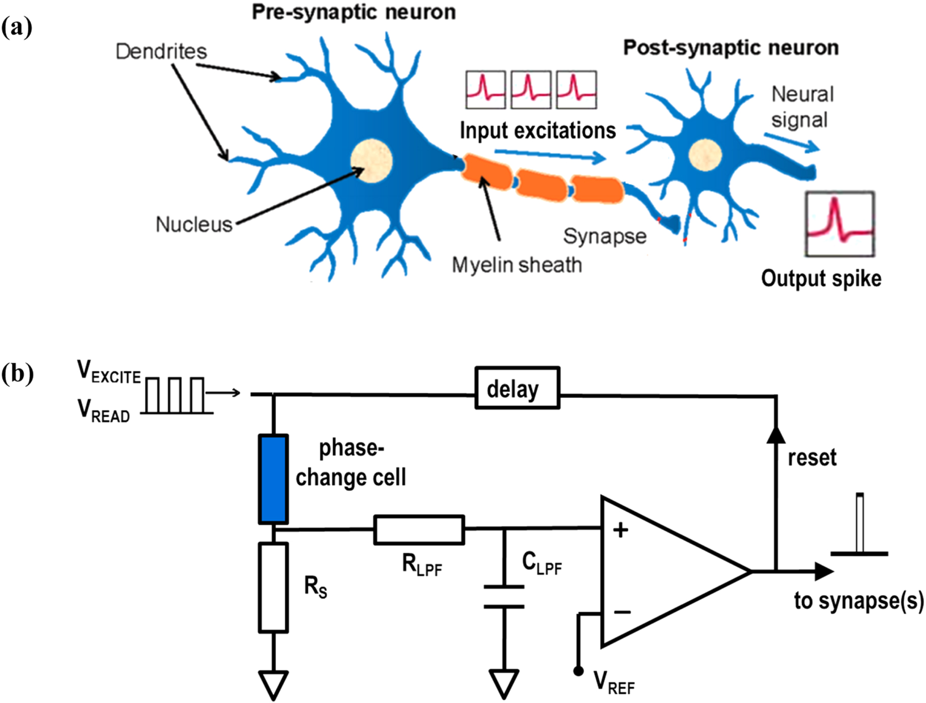 A self-resetting spiking phase-change neuron - IOPscience