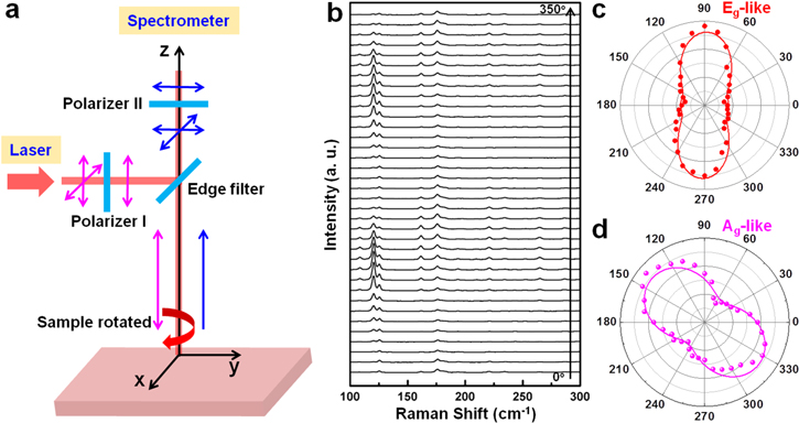 Temperature-dependent Raman spectroscopy studies of the interface coupling effect of monolayer ...