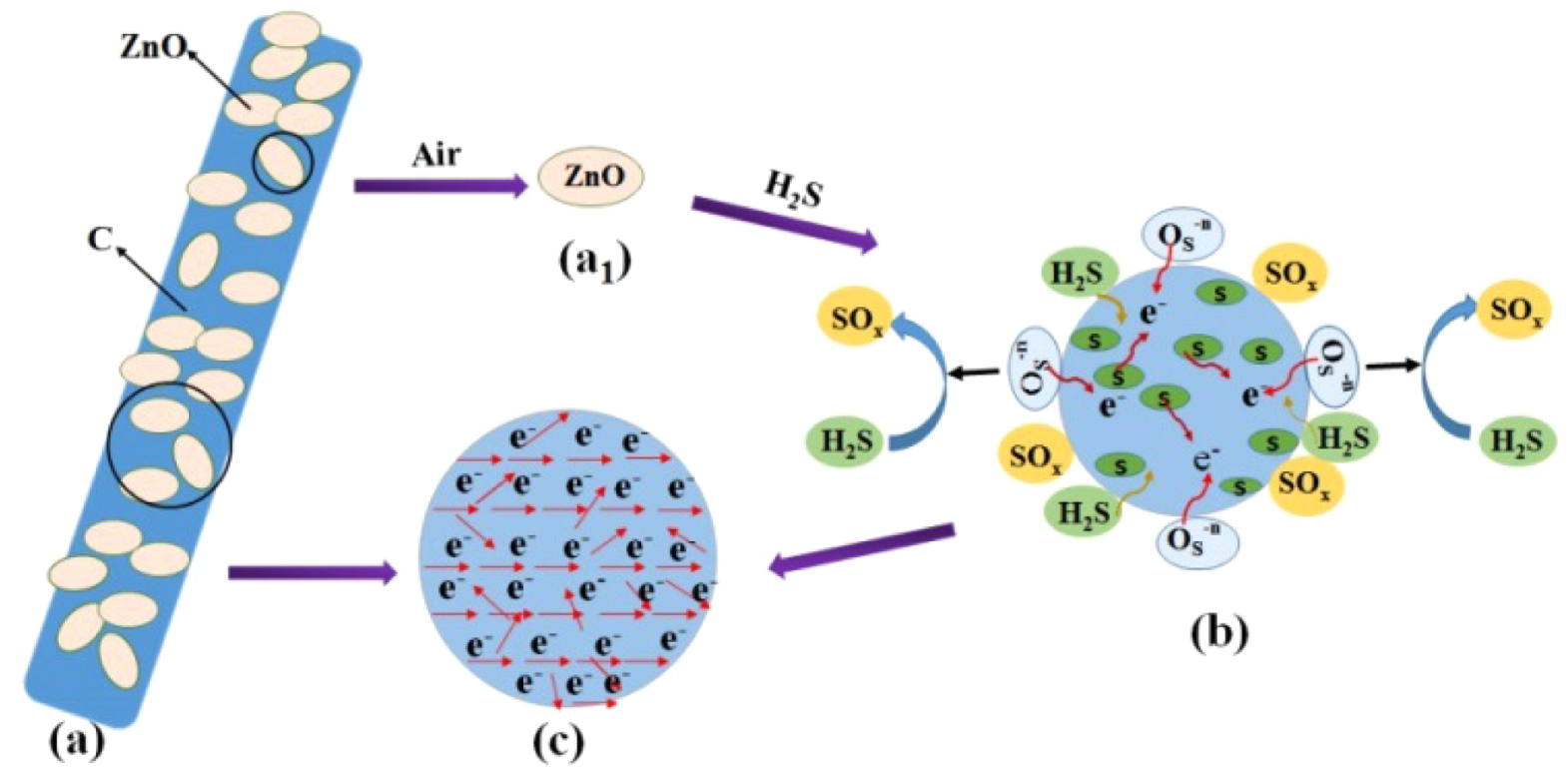 ZnO-carbon nanofibers for stable, high response, and selective H2S ...