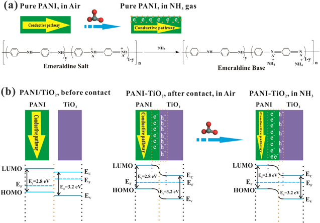 Layer-by-layer self-assembly of polyaniline nanofibers/TiO2 nanotubes ...