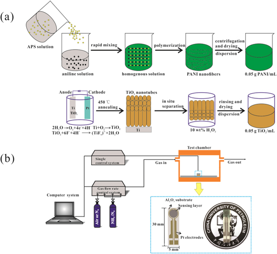 Layer-by-layer self-assembly of polyaniline nanofibers/TiO2 nanotubes ...