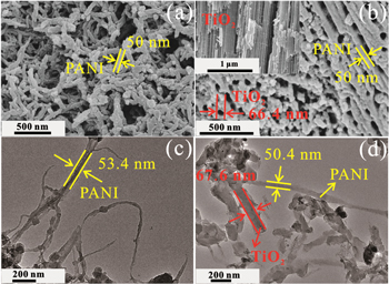Layer-by-layer self-assembly of polyaniline nanofibers/TiO2 nanotubes ...