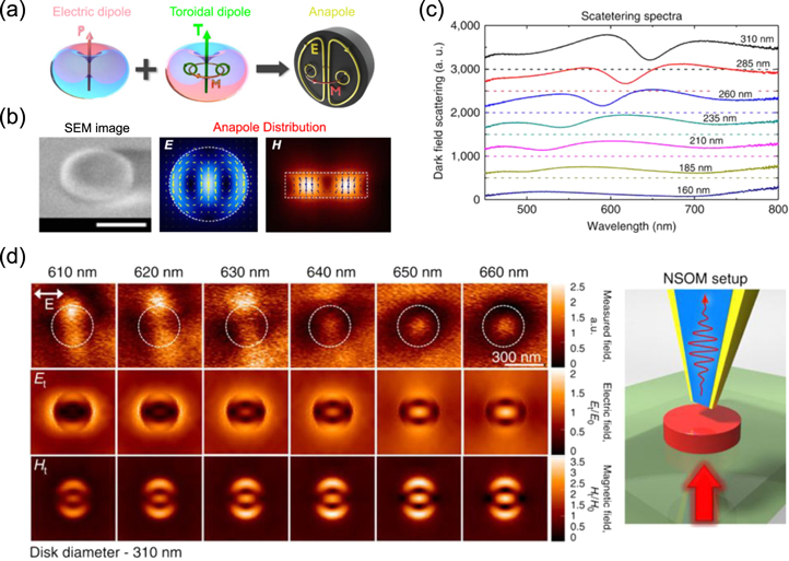 Nonradiating anapole states in nanophotonics: from fundamentals to ...